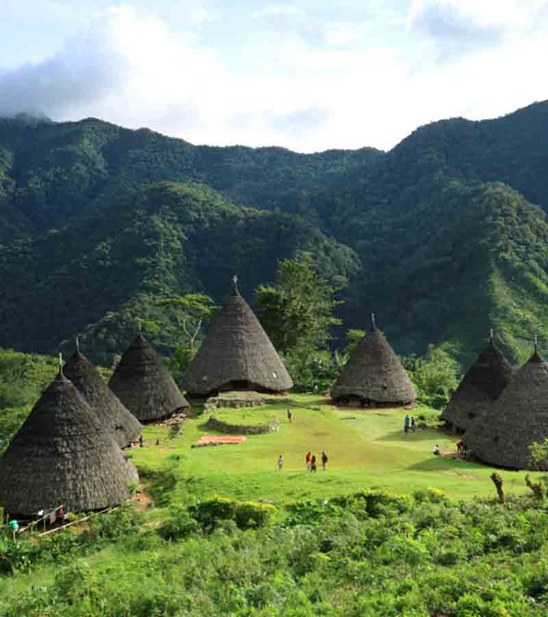 Toko | Ara adventure