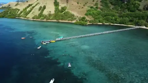 Keanekaragaman hayati yang luar biasa Pulau Manjarite